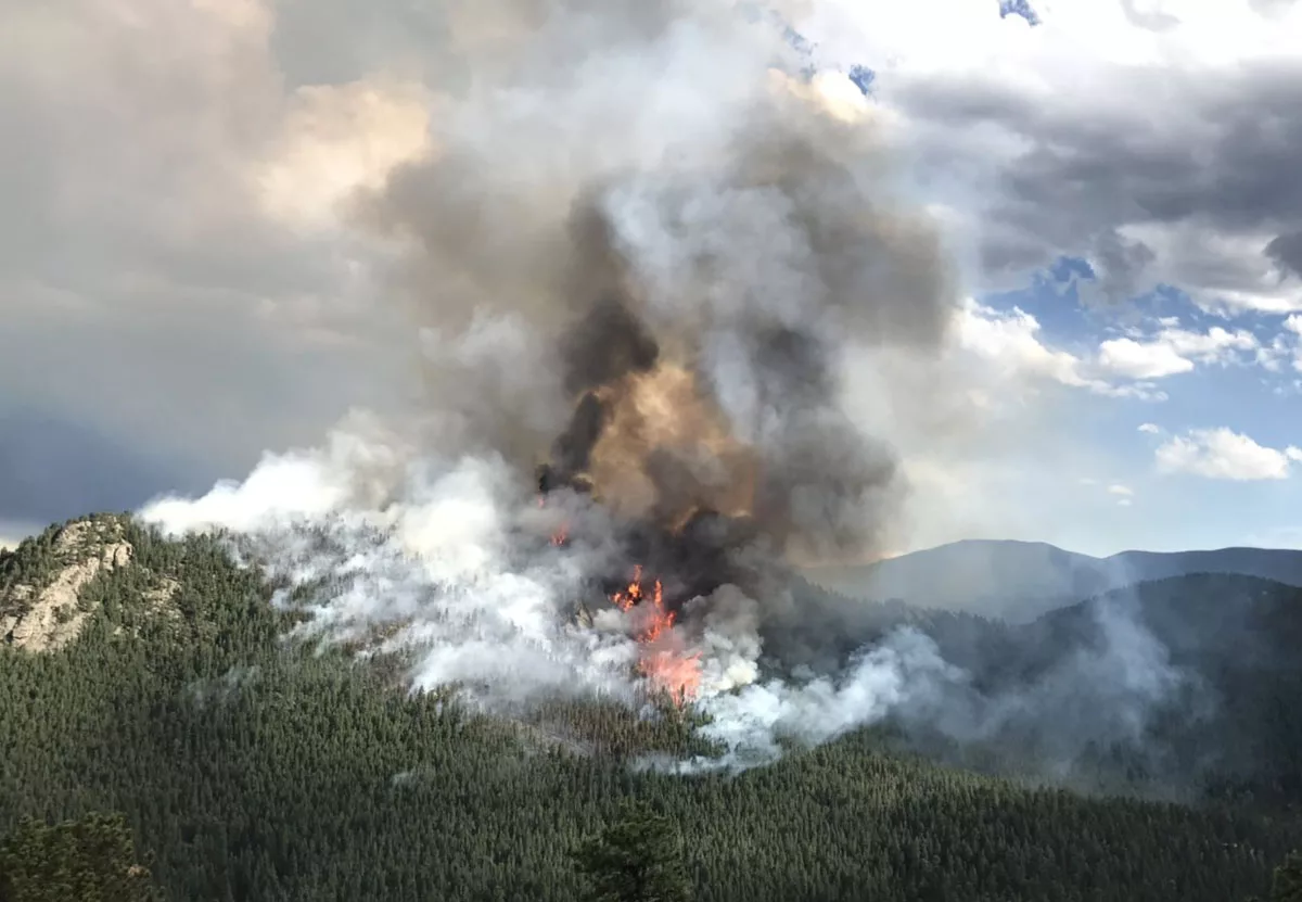 Finishing Rough Ins, Painting, Deck, & Insulation - Dalkita